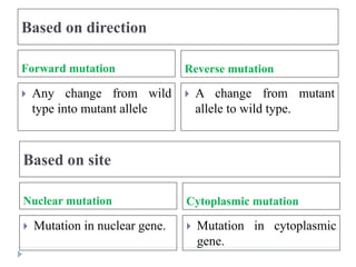 Mutation & its detection | PPTX