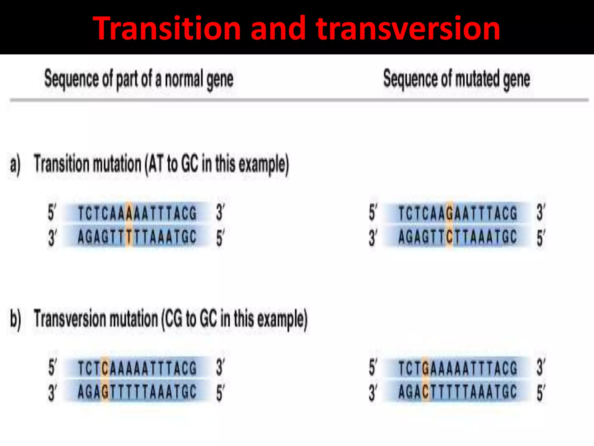 Mutation & its types | PPT