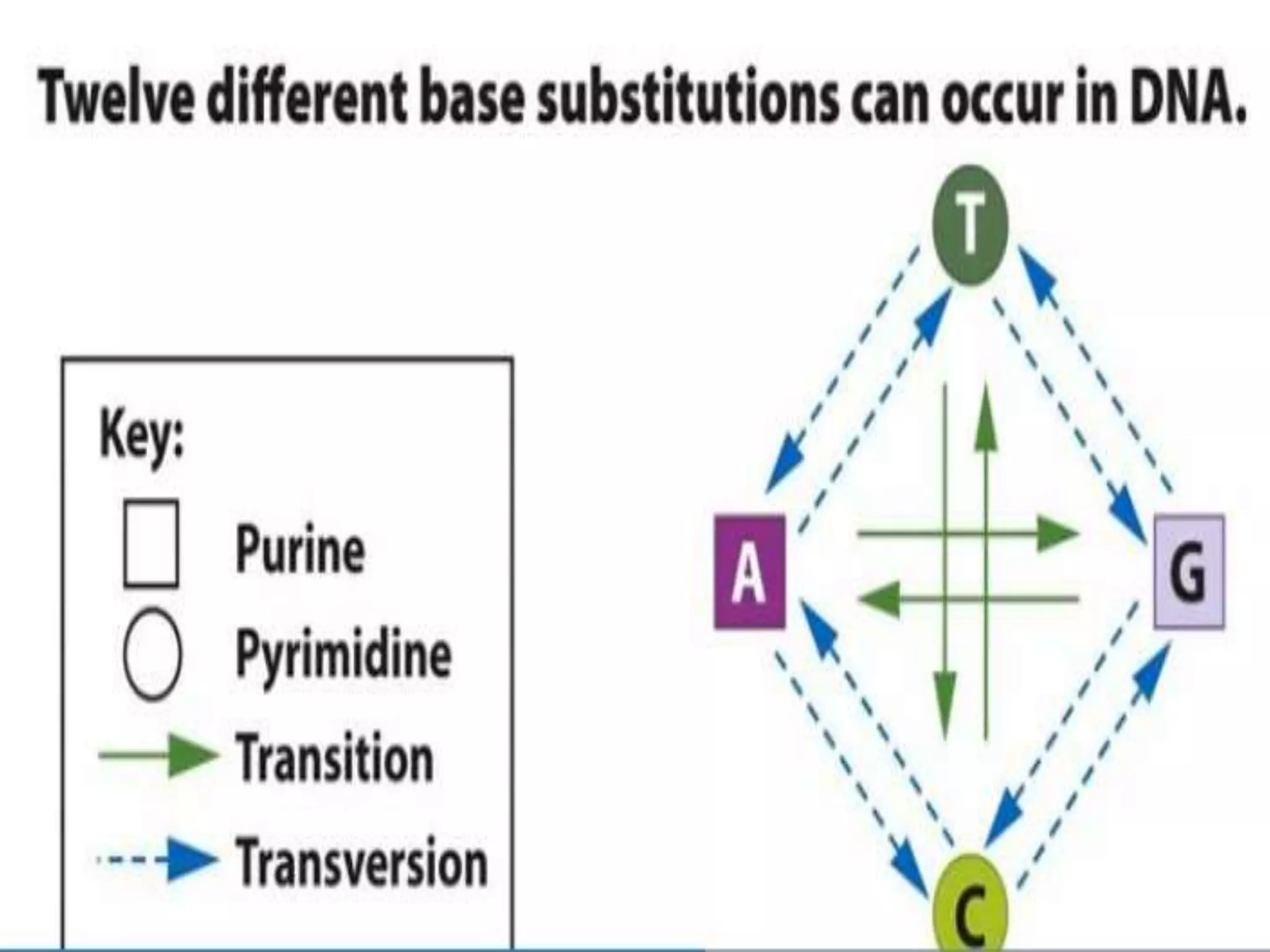 Mutation & its types | PPT