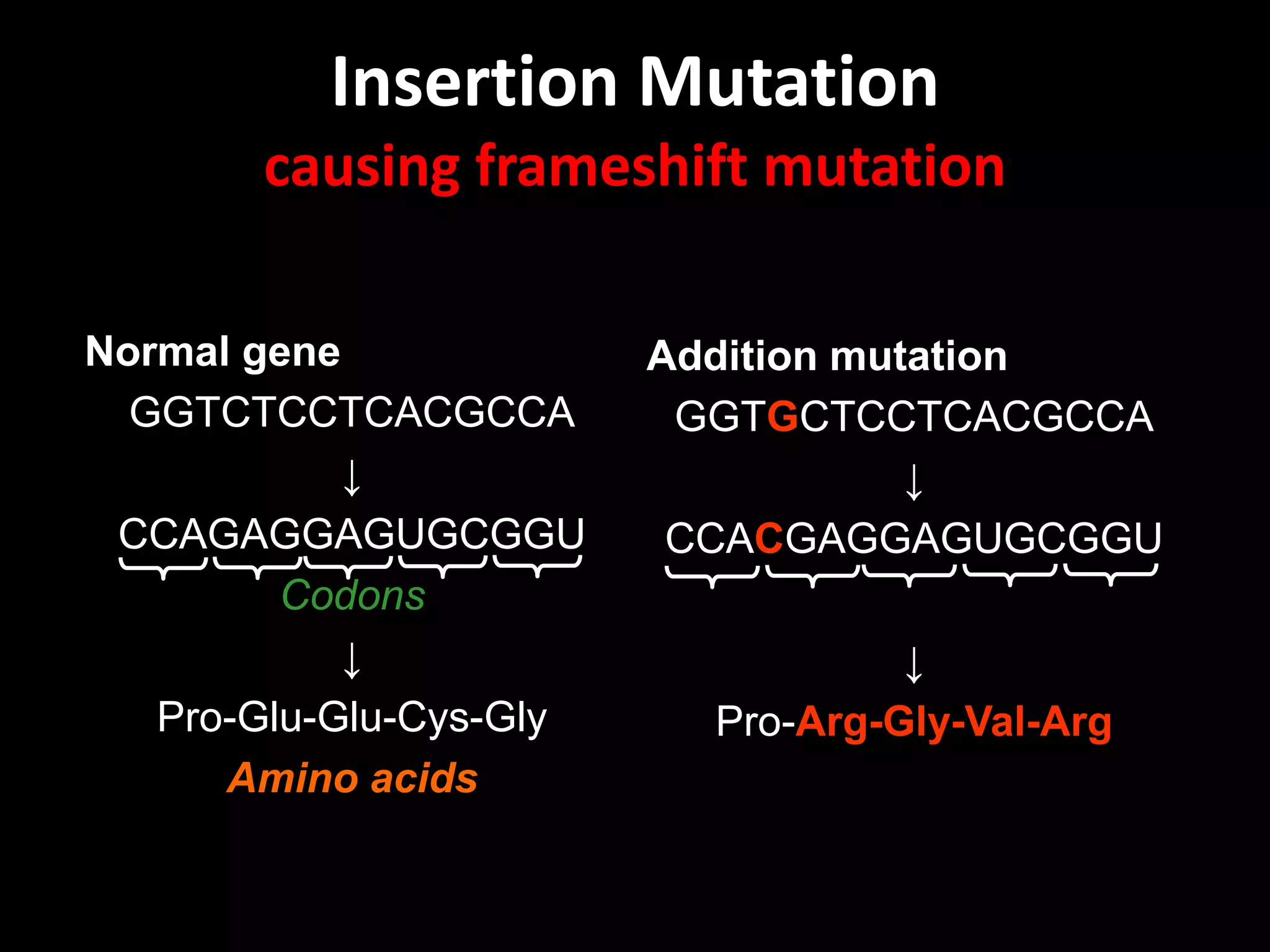 Mutation & its types | PPT