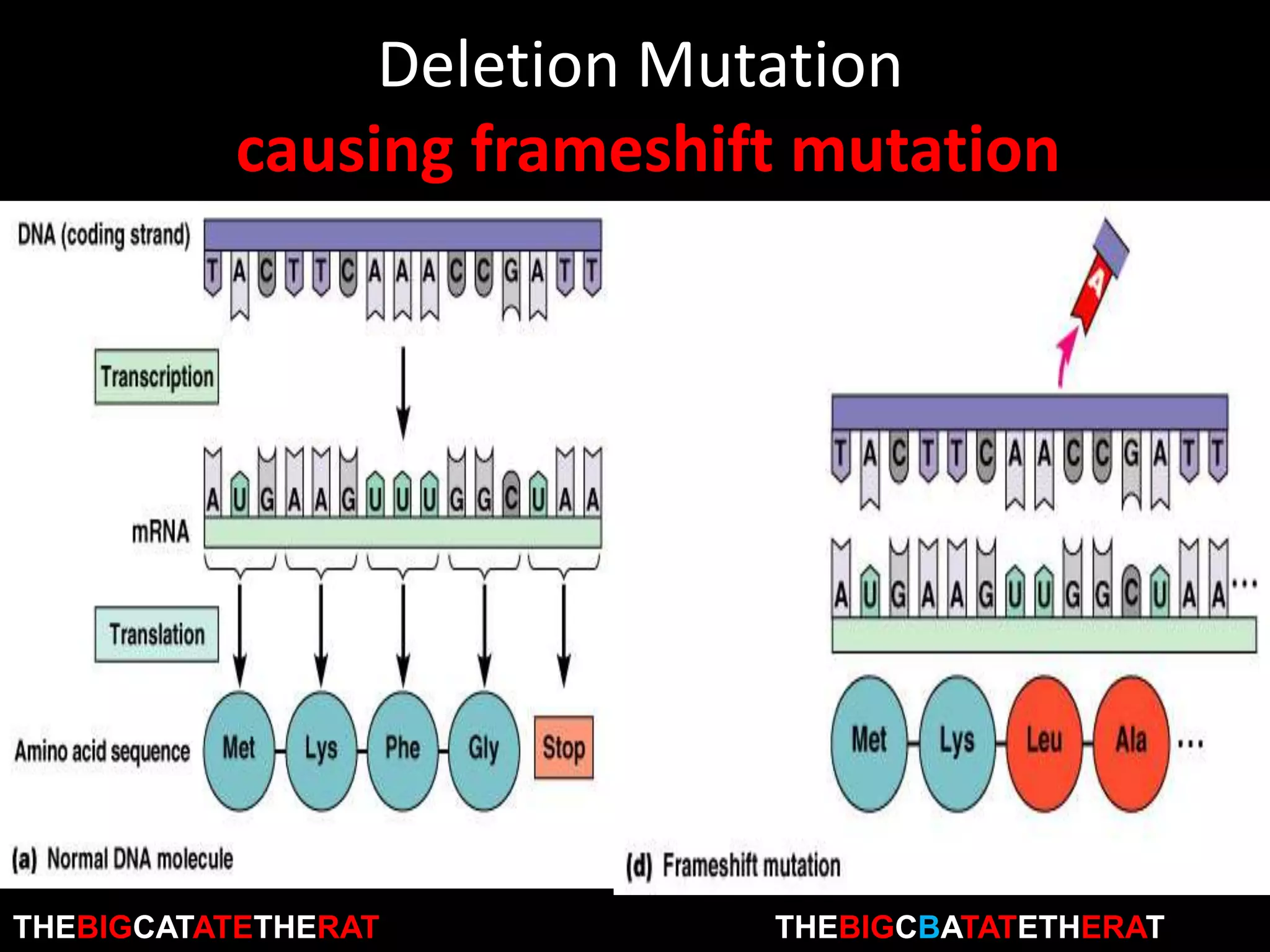 Mutation & its types | PPT