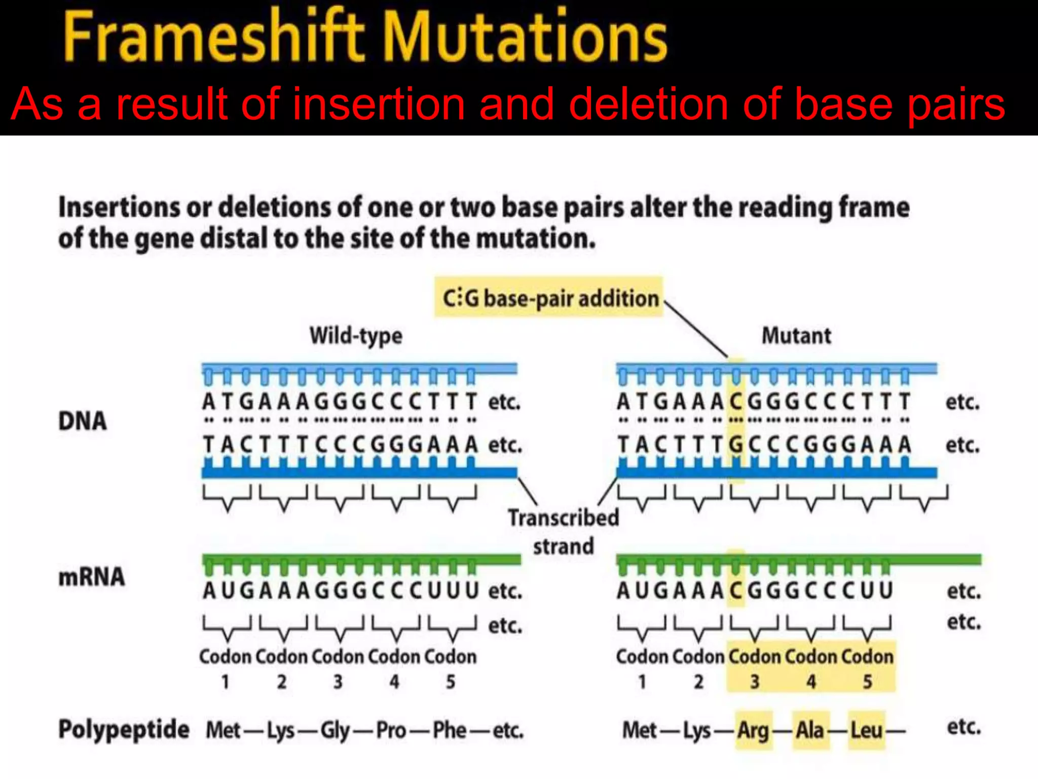 Mutation & its types | PPT