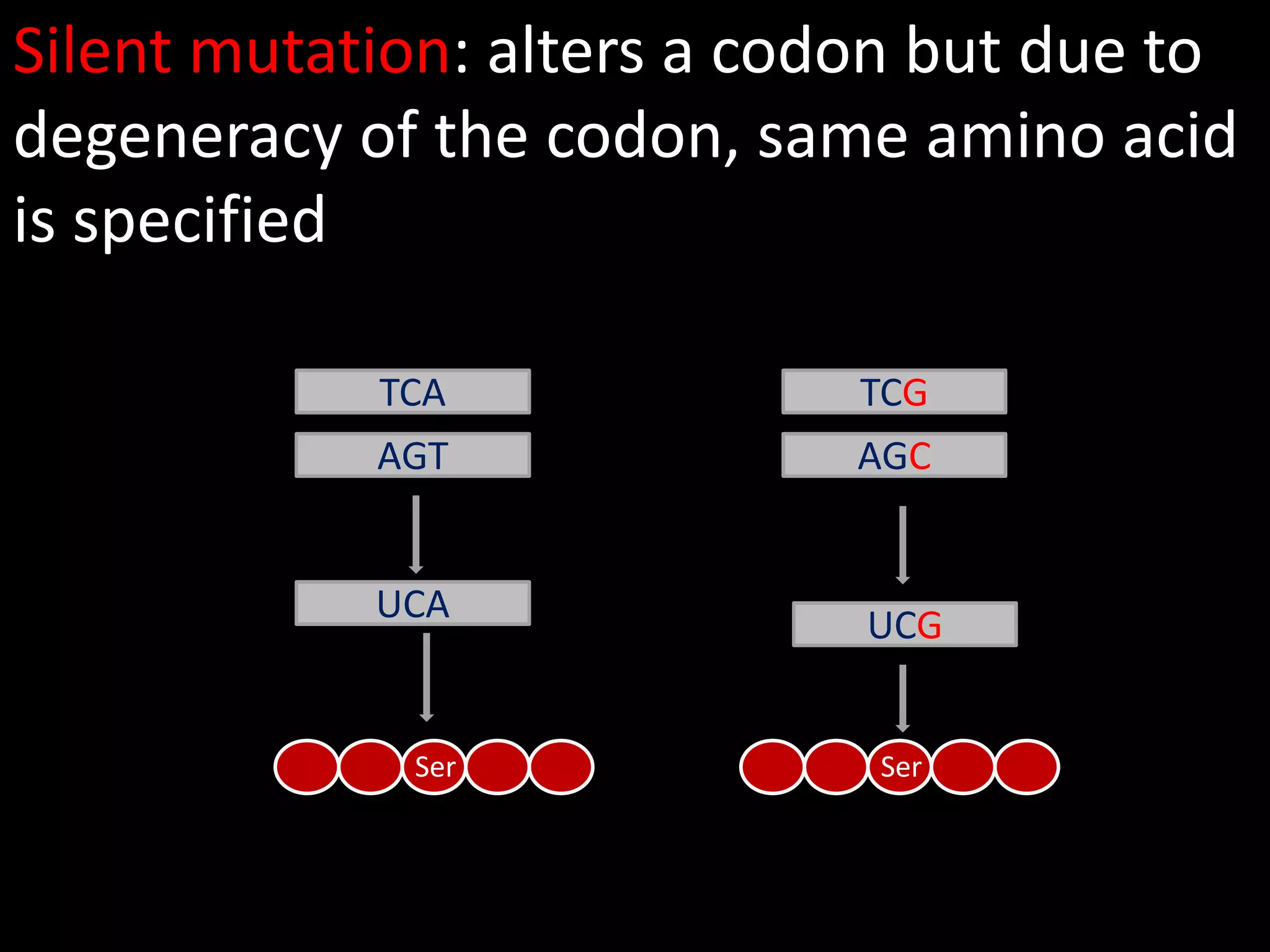 Mutation & its types | PPT