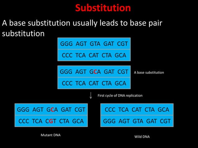 Mutation & its types | PPT | Chemistry | Science