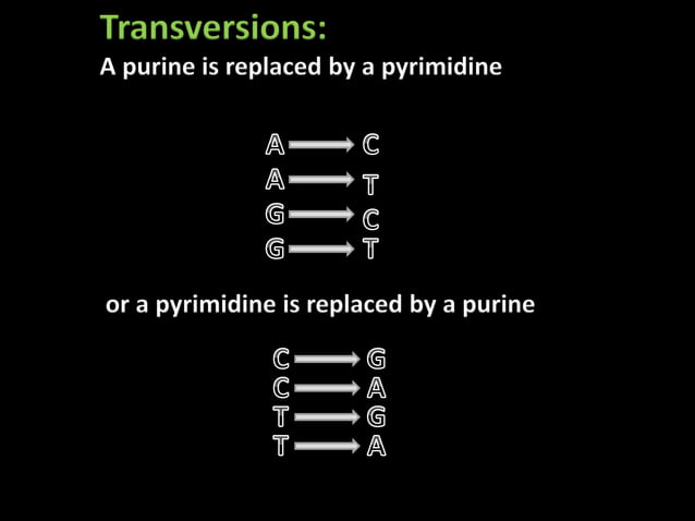Mutation & its types | PPT | Chemistry | Science