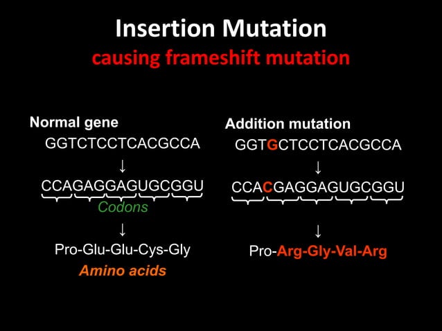 Mutation & its types | PPT | Chemistry | Science