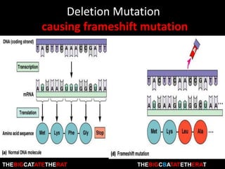 Mutation & its types | PPT