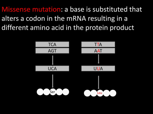 Mutation & its types | PPT | Chemistry | Science