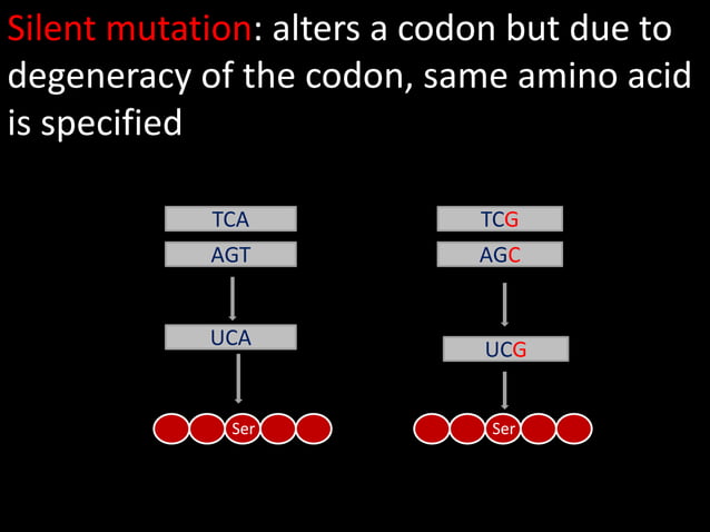 Mutation & its types | PPT | Chemistry | Science