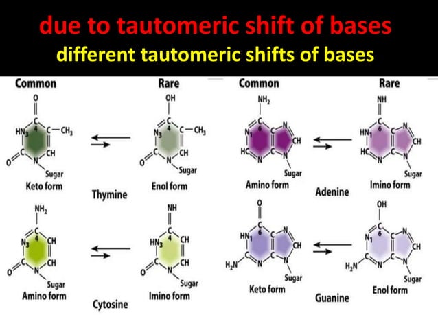Mutation & its types | PPT | Chemistry | Science