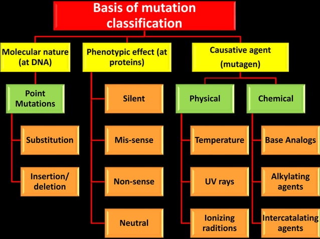 Mutation & its types | PPT | Chemistry | Science