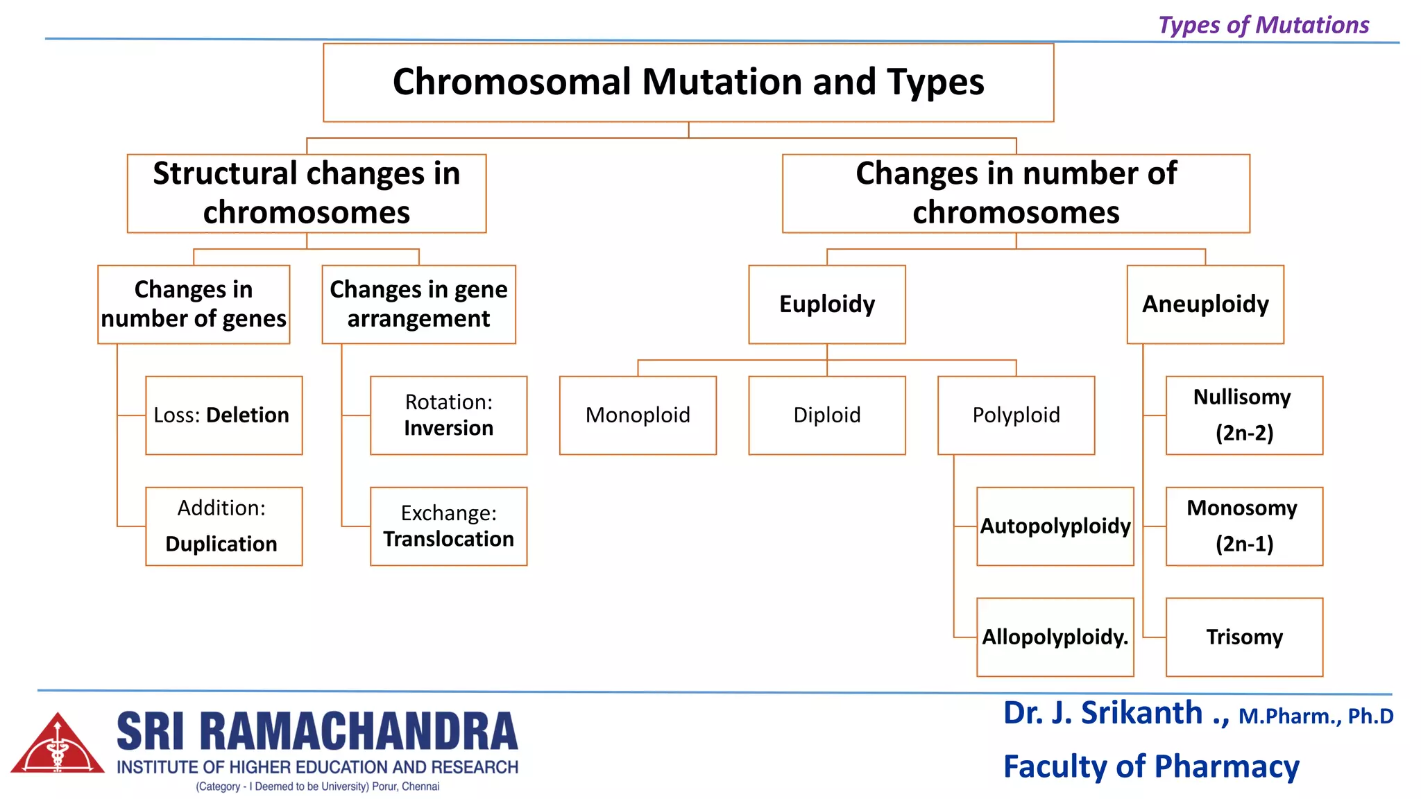 Mutation & its types | PDF