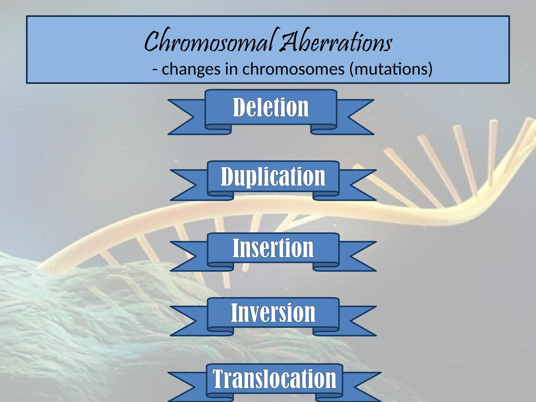 Lecture Presentation On Mutation For Grade 10 Science Pptx