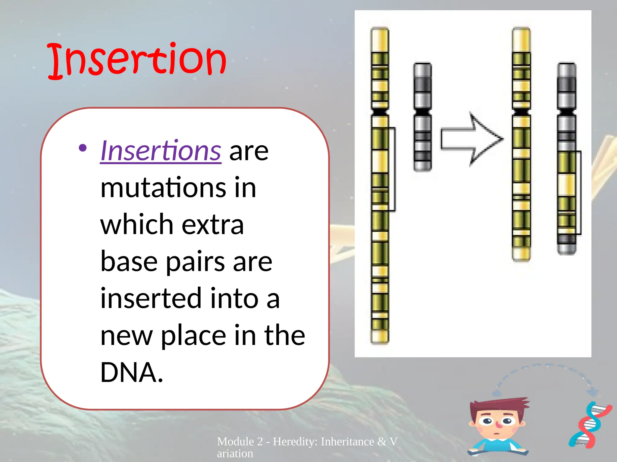 Lecture Presentation On Mutation For Grade 10 Science Pptx