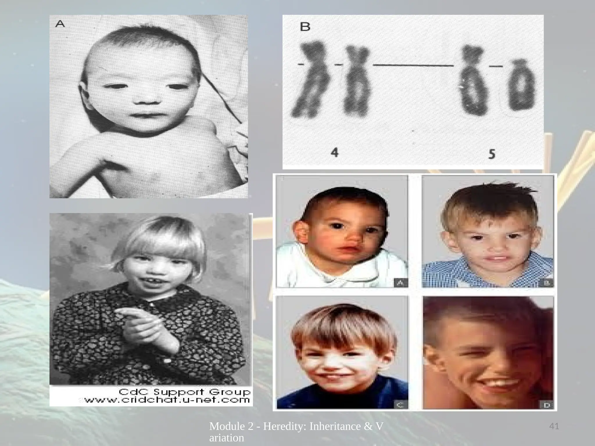 Lecture Presentation On Mutation For Grade 10 Science Pptx