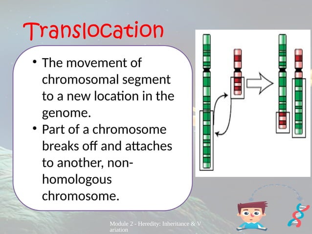 LECTURE PRESENTATION ON MUTATION FOR GRADE 10 SCIENCE | PPTX