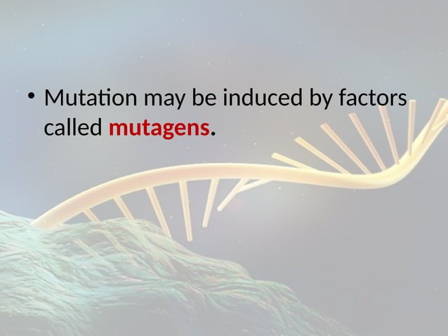 Lecture Presentation On Mutation For Grade 10 Science Pptx