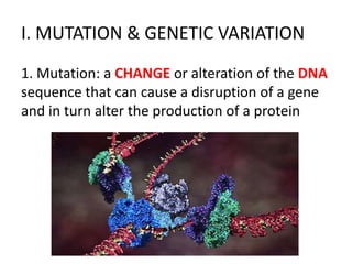 Mutation notes | PPT