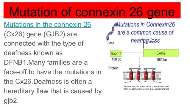 Mutation of connexin 26 gene