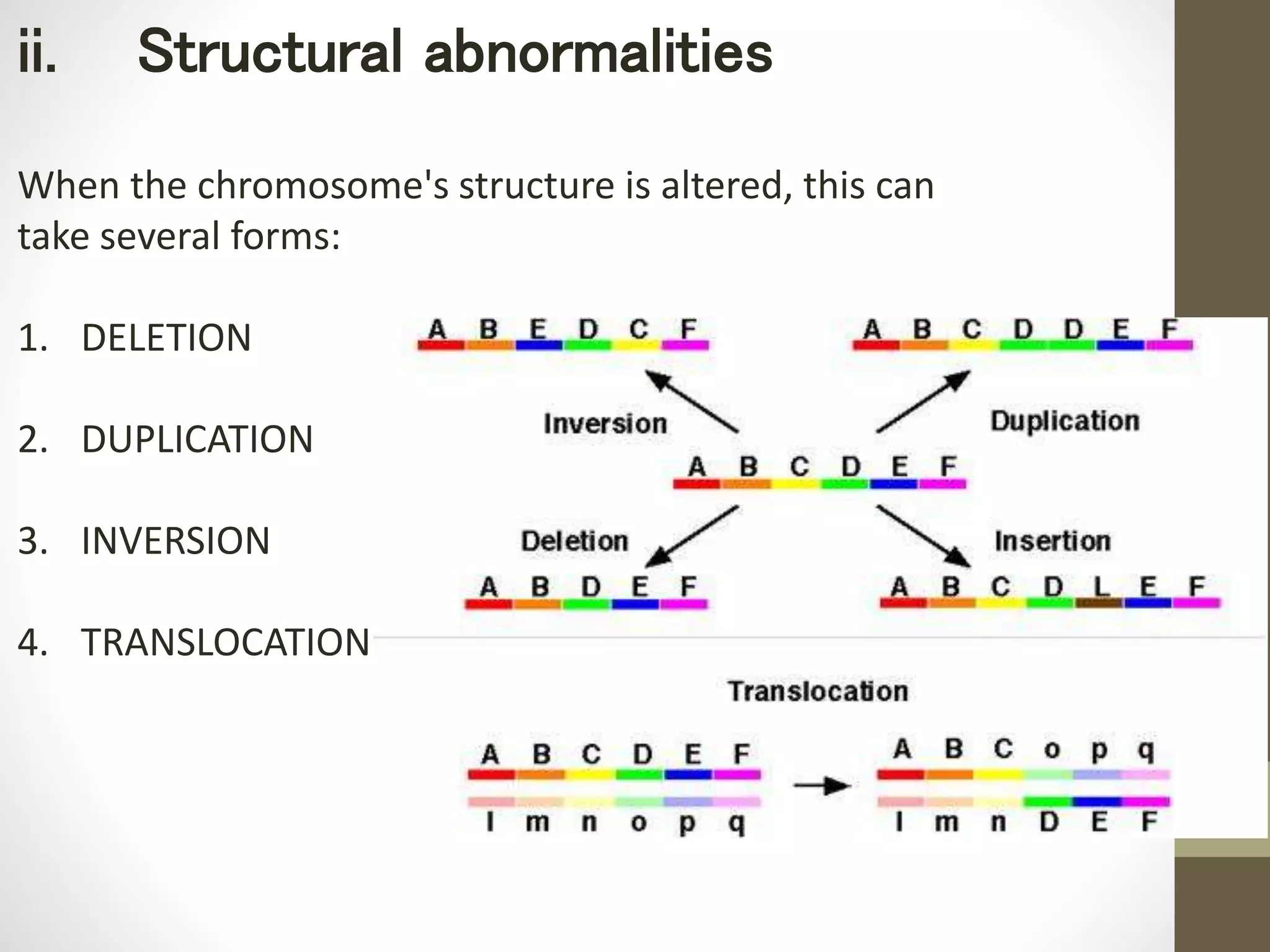 Mutation | PPTX | Genetics | Science