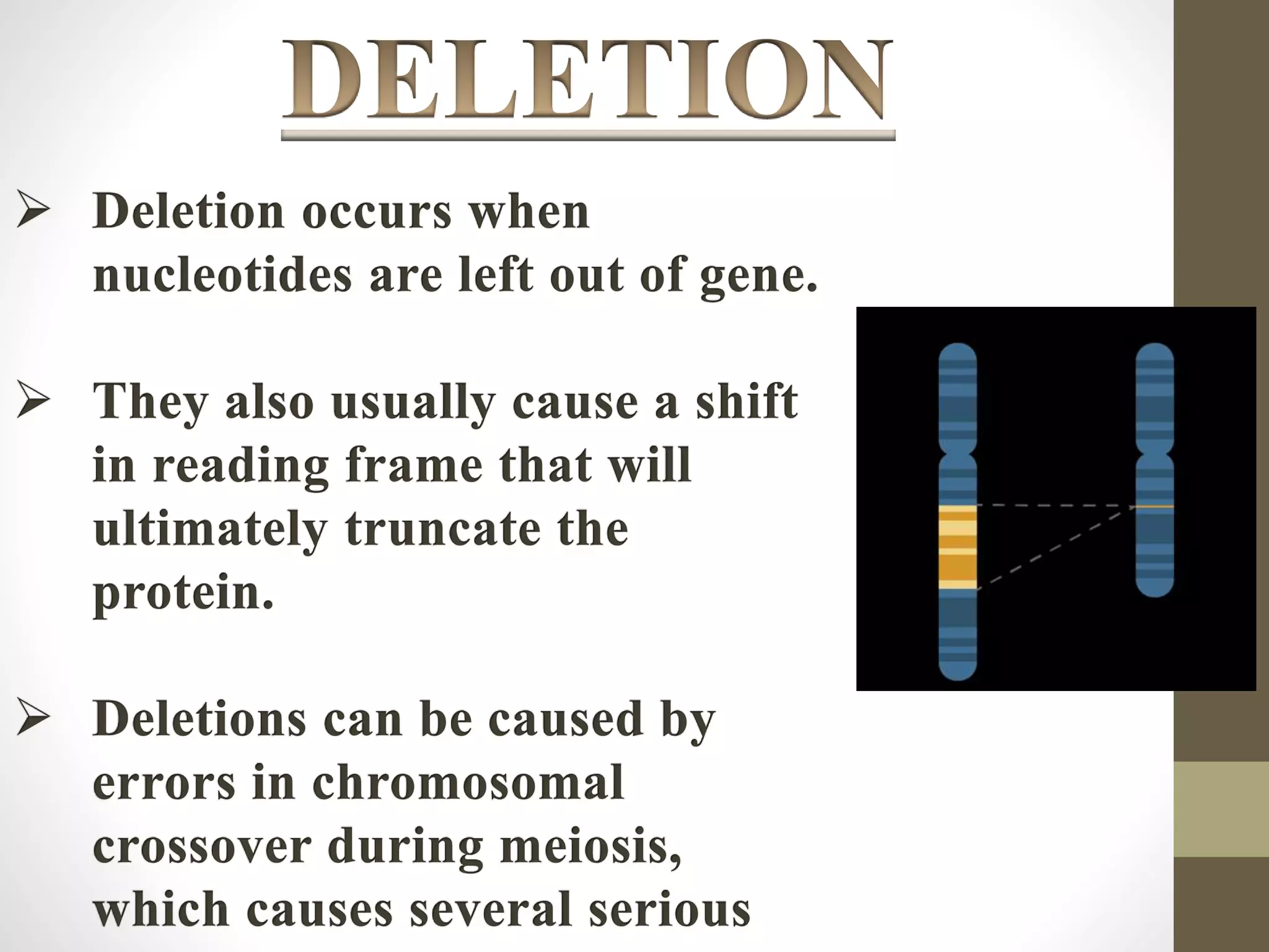 Mutation | PPTX | Genetics | Science