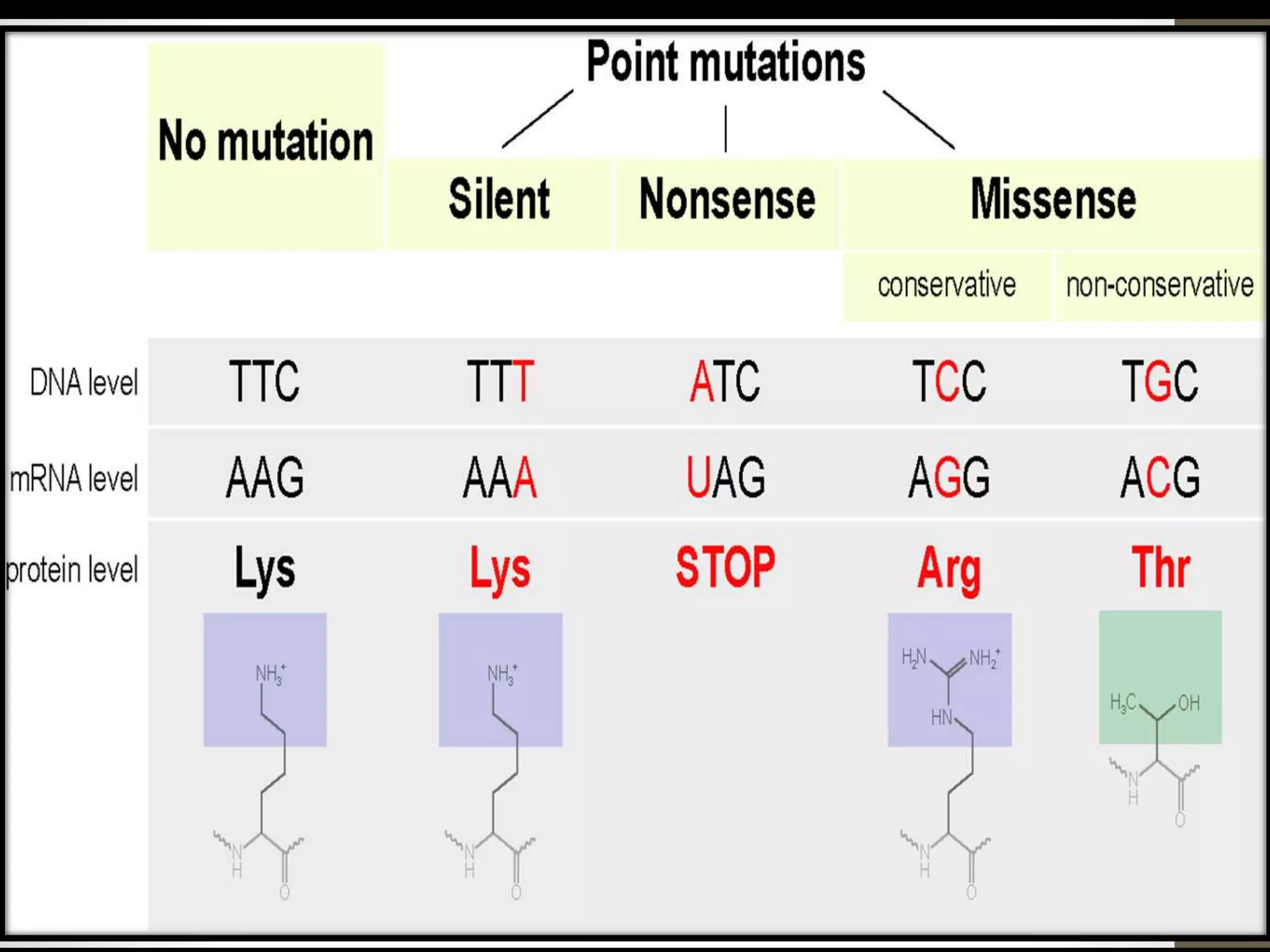 Mutation | PPTX