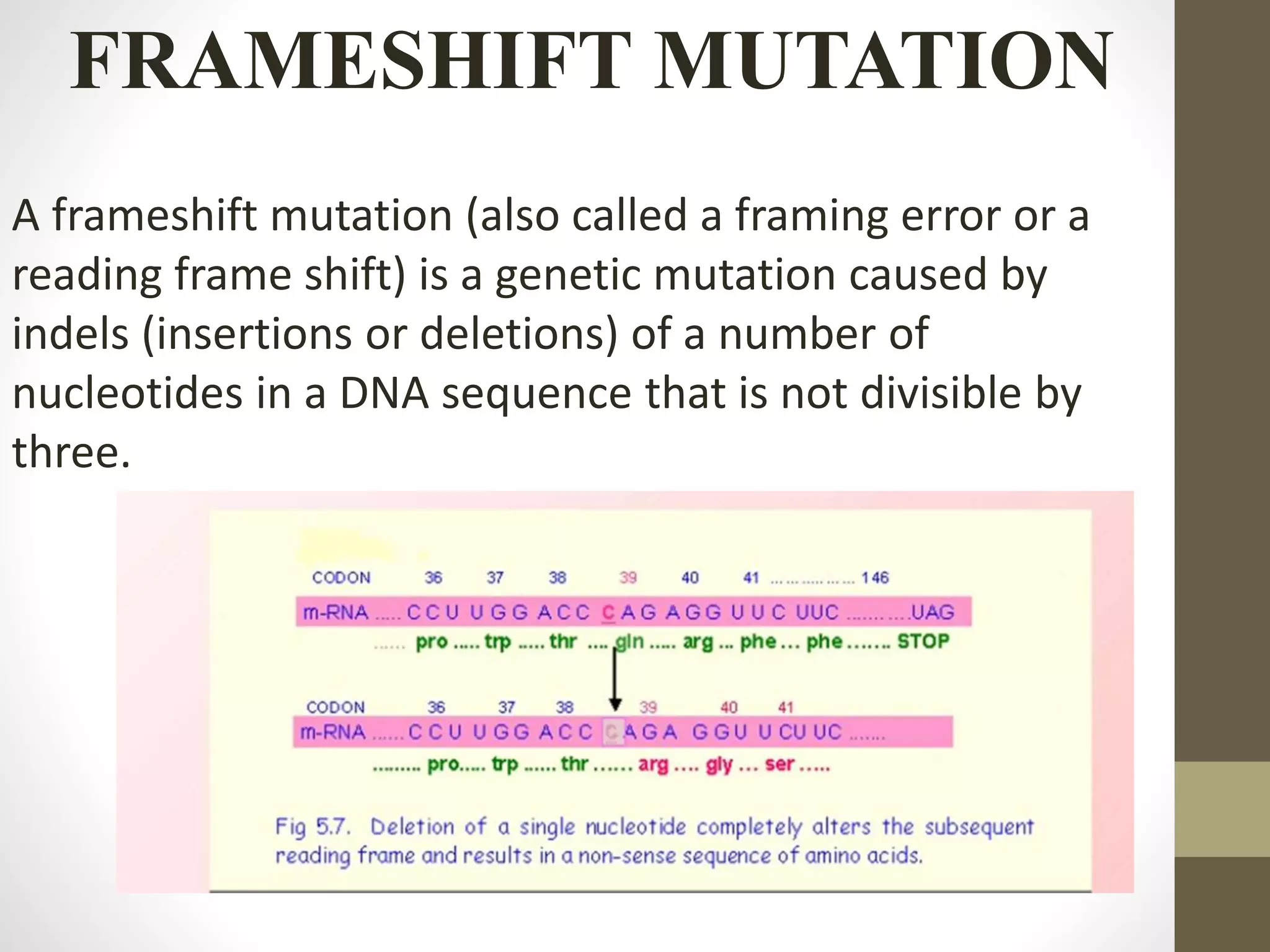 Mutation | PPTX