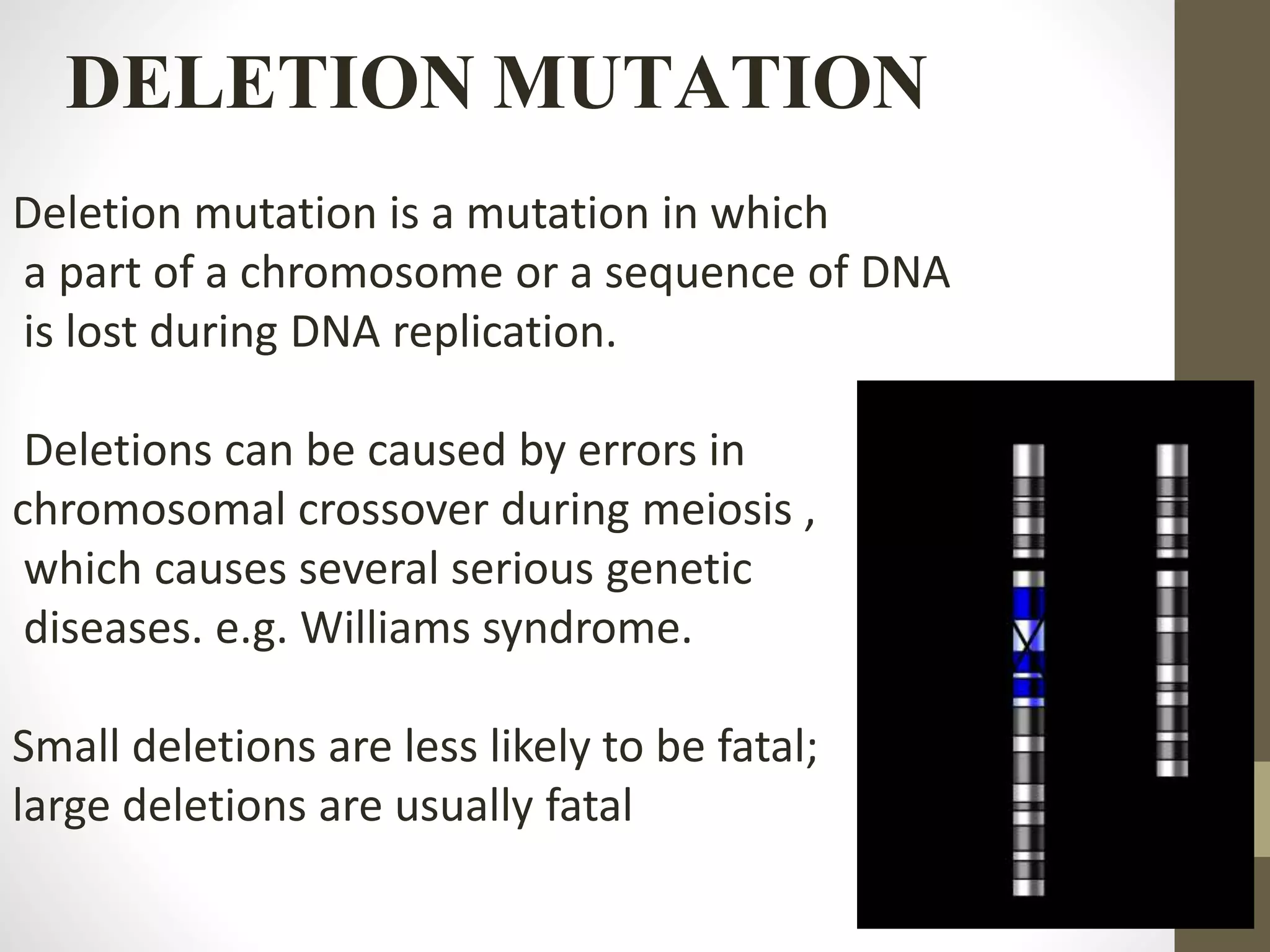 Mutation | PPTX