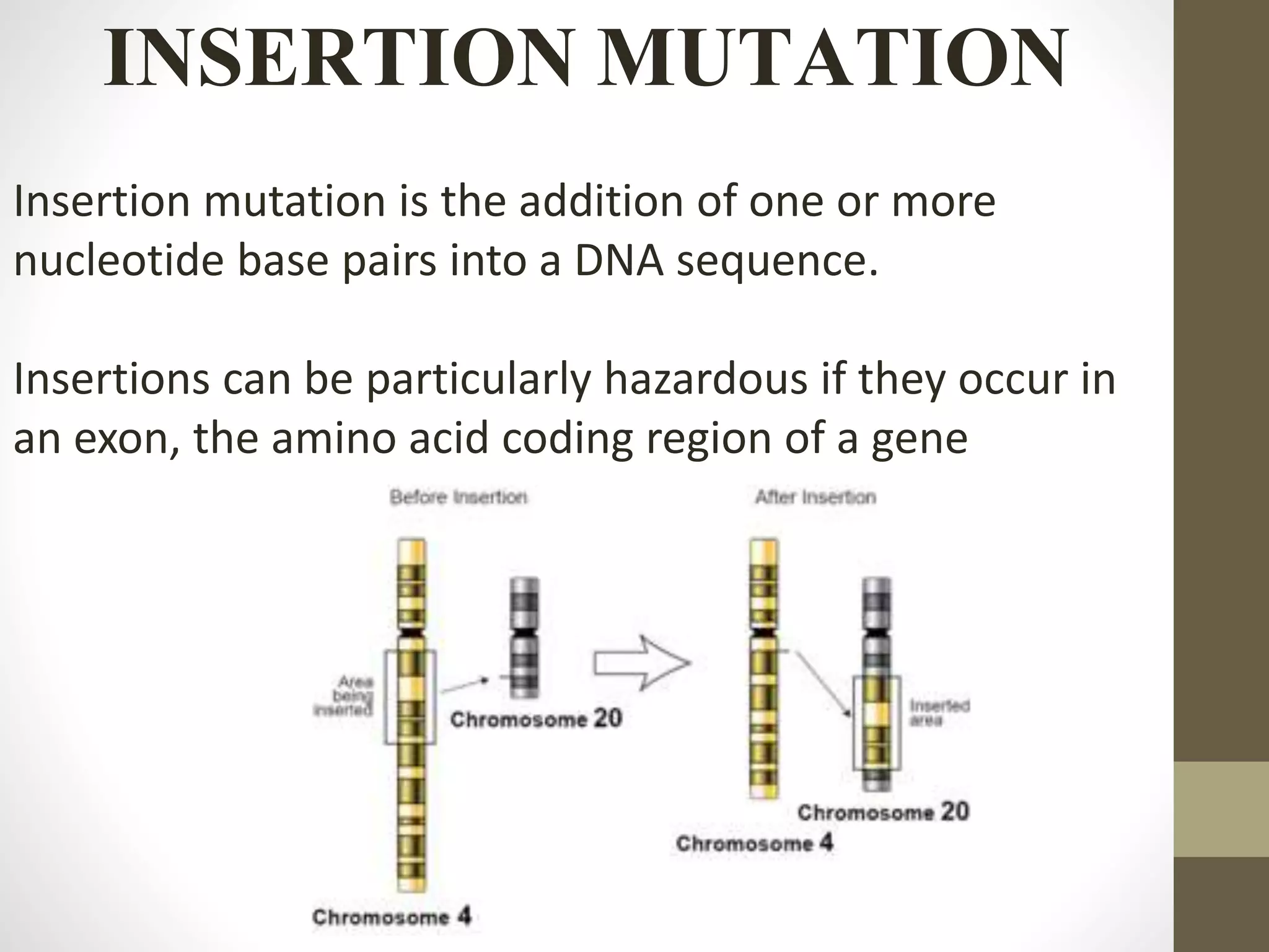 Mutation | PPTX