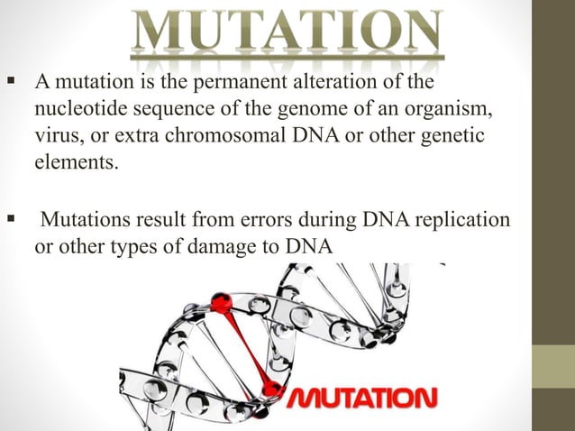 Mutation | PPTX | Genetics | Science