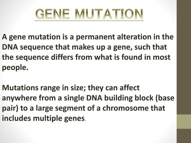 Mutation | PPTX | Genetics | Science