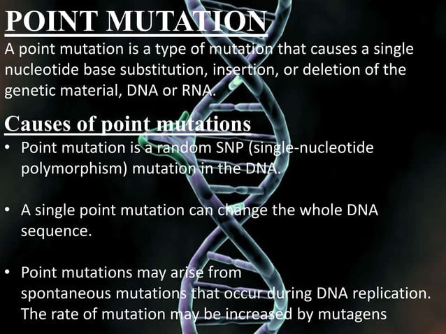 Mutation | PPTX | Genetics | Science
