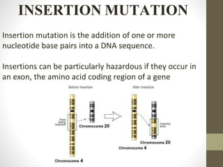 Mutation | PPTX