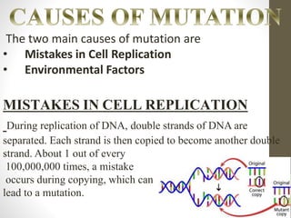 Mutation | PPTX
