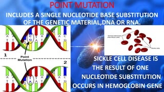 Mutation ppt - all types of mutation - gene mutation chromosome ...