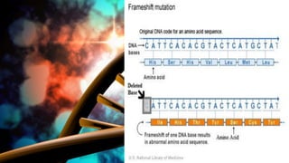 Mutation ppt - all types of mutation - gene mutation chromosome ...