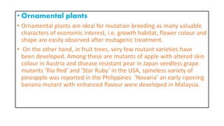 Mutation Breeding in crop improvement - Past Present and future | PPTX
