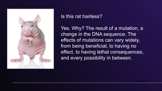 mutation, mutation nature, types presentation.pppt
