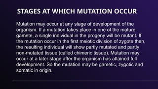 mutation, mutation nature, types presentation.pppt