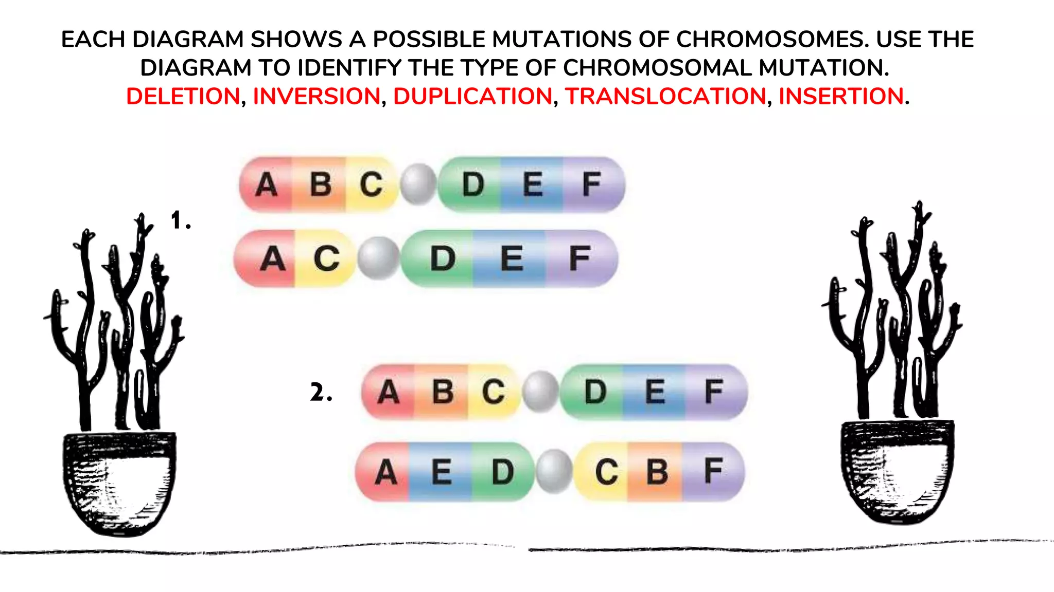 MUTATION QUIZ.ACTIVITY.pptx