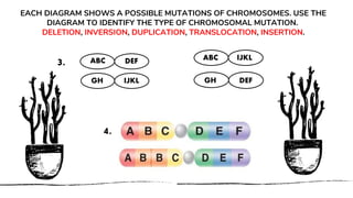MUTATION QUIZ.ACTIVITY.pptx