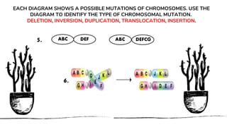 MUTATION QUIZ.ACTIVITY.pptx