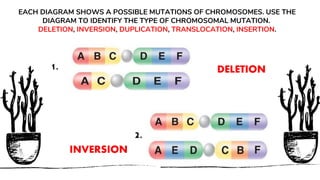MUTATION QUIZ.ACTIVITY.pptx