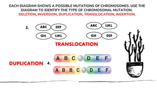MUTATION QUIZ.ACTIVITY.pptx