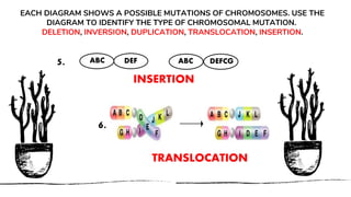 MUTATION QUIZ.ACTIVITY.pptx