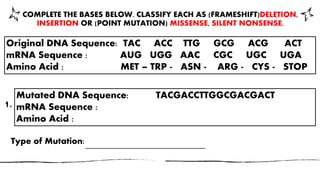 MUTATION QUIZ.ACTIVITY.pptx
