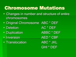 Mutations | PPTX