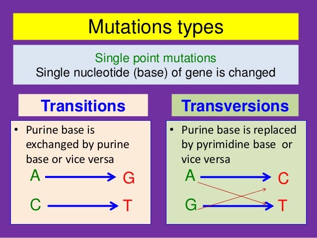 Mutations