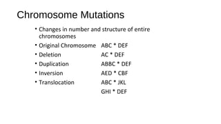 Mutations | PPT