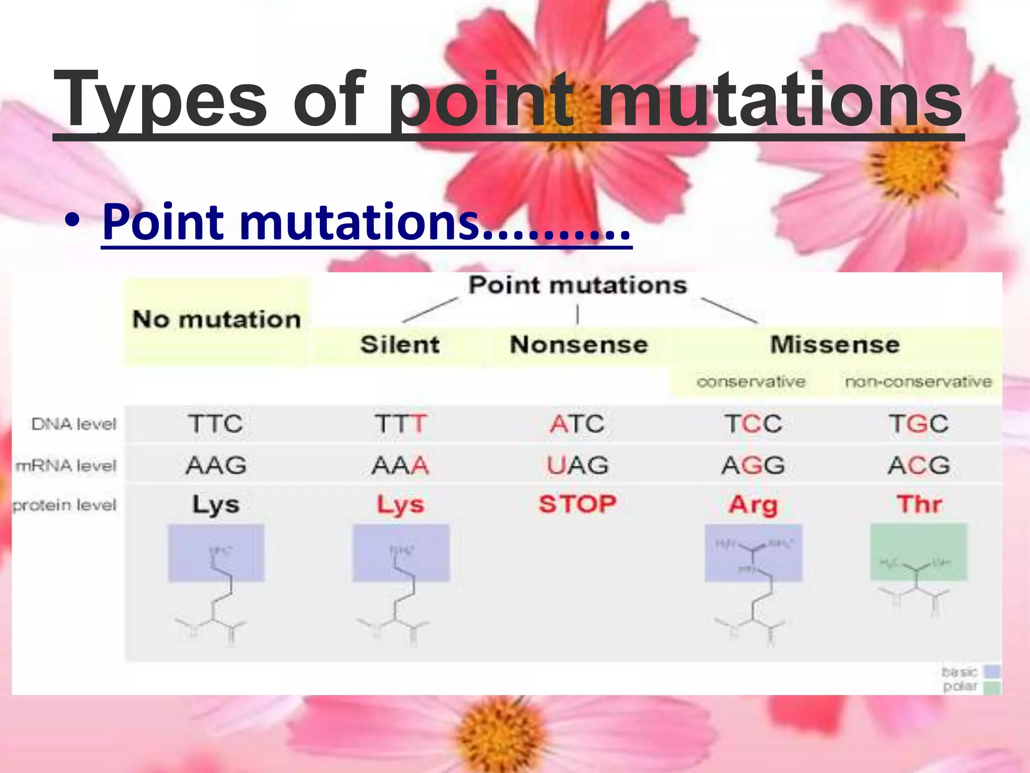Mutations and Related diseases | PPTX